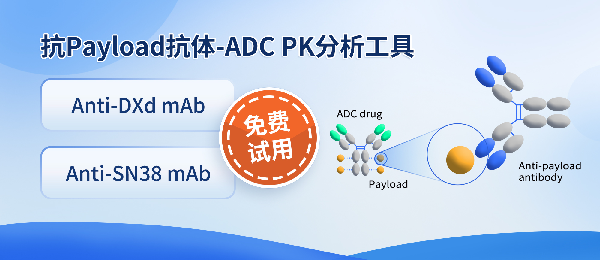 免费试用——payload抗体助力ADC药物研发 - 专注肿瘤免疫