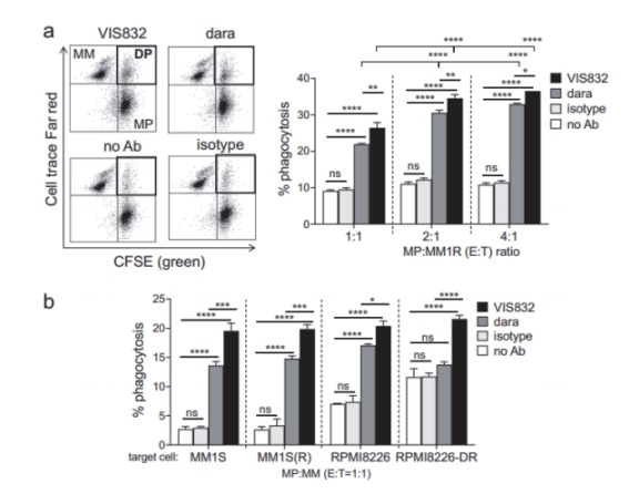 肿瘤免疫靶点 | CD138 - 专注肿瘤免疫