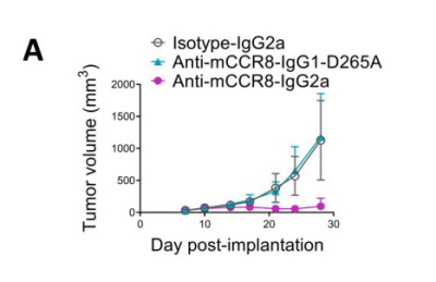 肿瘤免疫靶点 | CCR8 - 专注肿瘤免疫