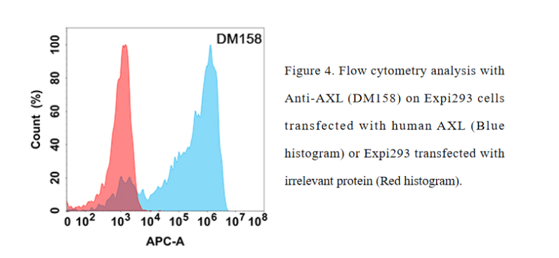 三款AXL-ADC折戟，癌症新兴靶点AXL还能在肿瘤免疫治疗中出圈吗？ - 专注肿瘤免疫