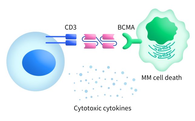 靶向BCMA疗法在多发性骨髓瘤中的研究进展 - 专注肿瘤免疫