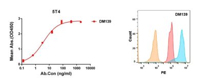 5T4靶点介绍及药物研究进展-缔码生物