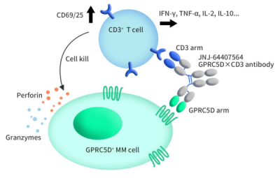 2023年度FDA批准上市抗体药年终盘点 - 专注肿瘤免疫