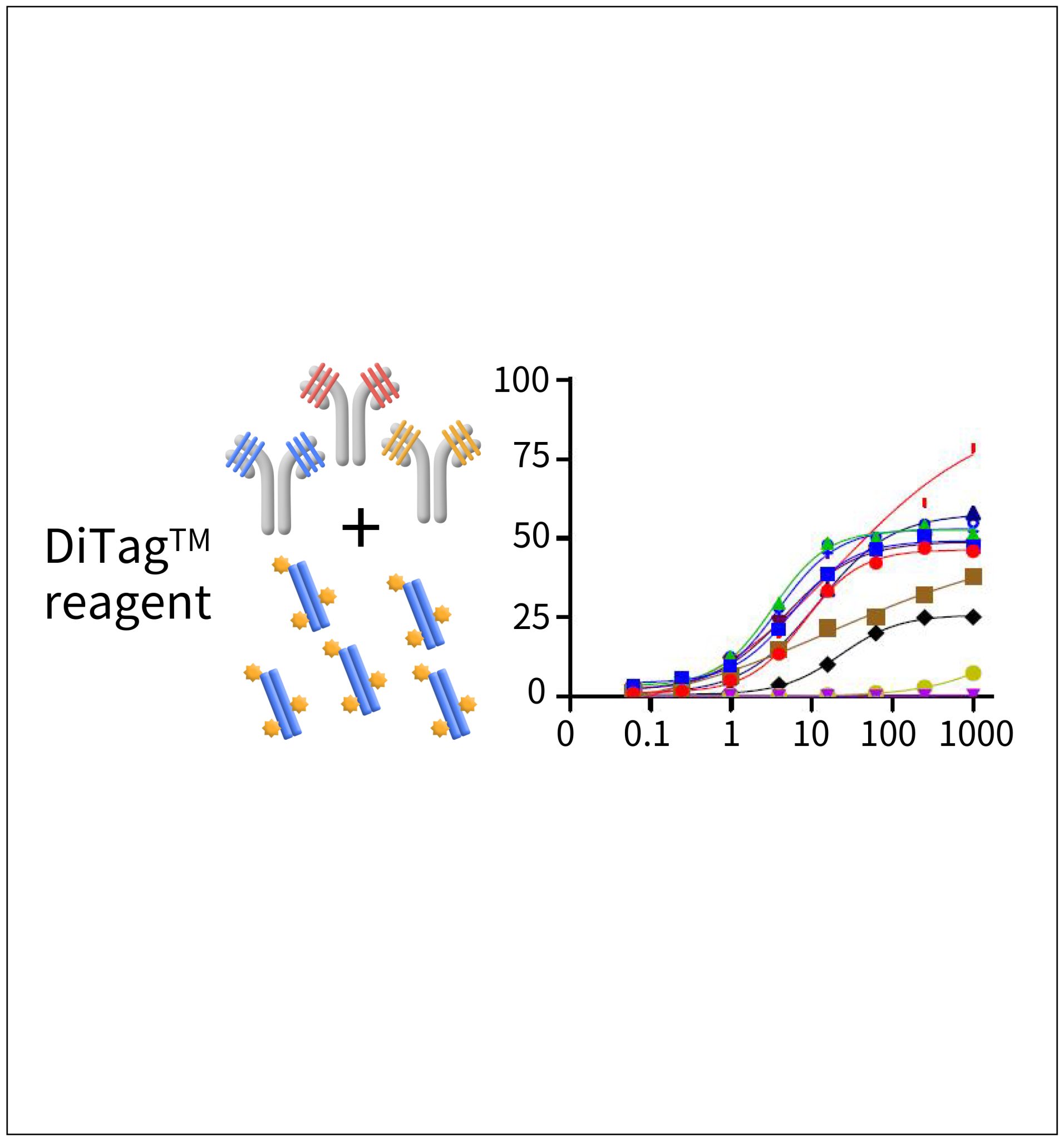 ADC开发解决方案 - 专注肿瘤免疫