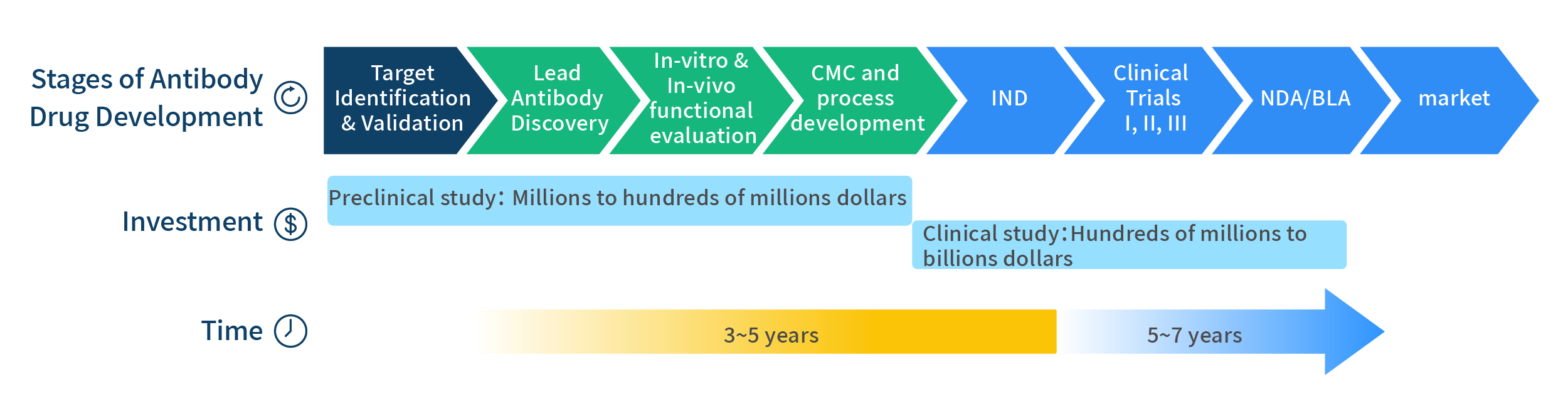 antibody-drug-development-stages – 专注肿瘤免疫 antibody-drug-development-stages – 专注肿瘤免疫