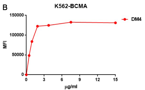 Anti-BCMA antibody(DM4); Rabbit mAb – 专注肿瘤免疫