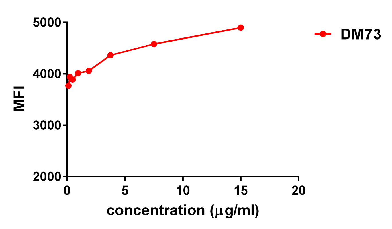 Anti-mesothelin antibody(DM73); Rabbit mAb – 专注肿瘤免疫