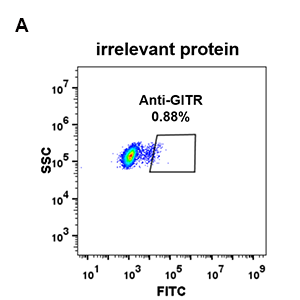 Anti-GITR antibody(DM79); Rabbit mAb – 专注肿瘤免疫