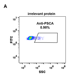 Anti-PSCA antibody(DM87), Rabbit mAb - 专注肿瘤免疫