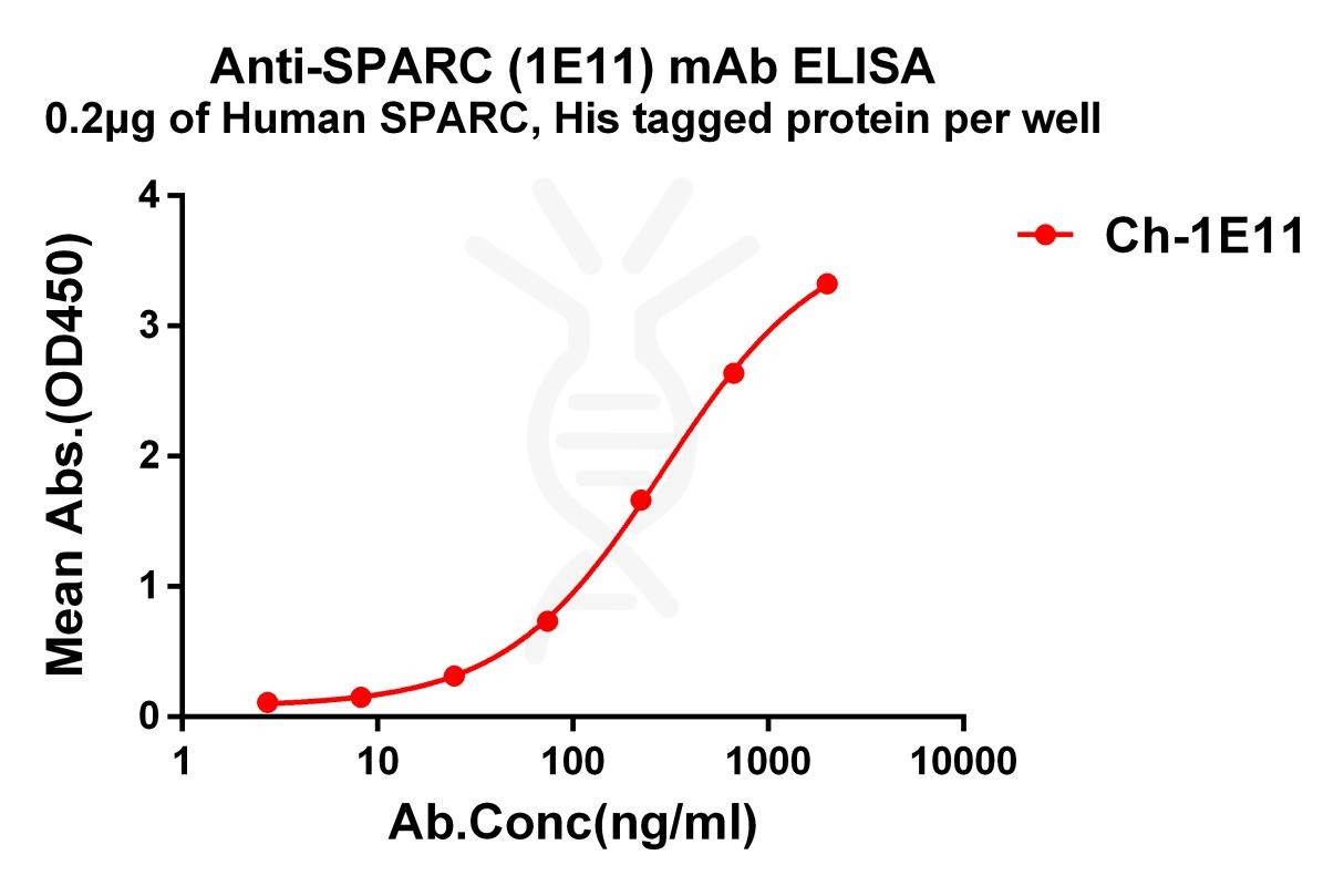 Anti-SPARC antibody(1E11), IgG1 Chimeric mAb - 专注肿瘤免疫