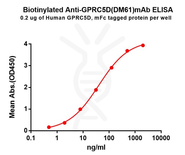 购买Biotinylated Anti-GPRC5D antibody(DM61), Rabbit mAb-GPRC5D抗体,用于ELISA ...