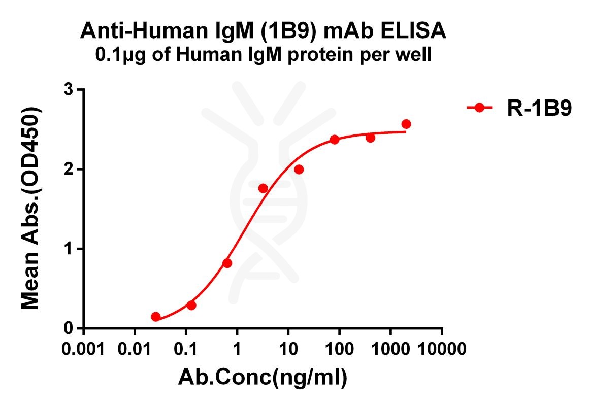Anti-Human IgM antibody(1B9), Rabbit mAb - 专注肿瘤免疫