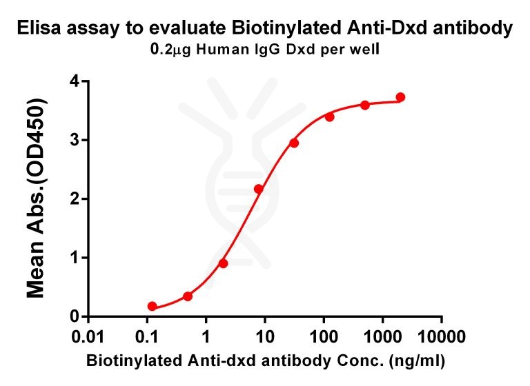 Biotinylated Anti-Dxd antibody(1A5); Rabbit mAb - 专注肿瘤免疫
