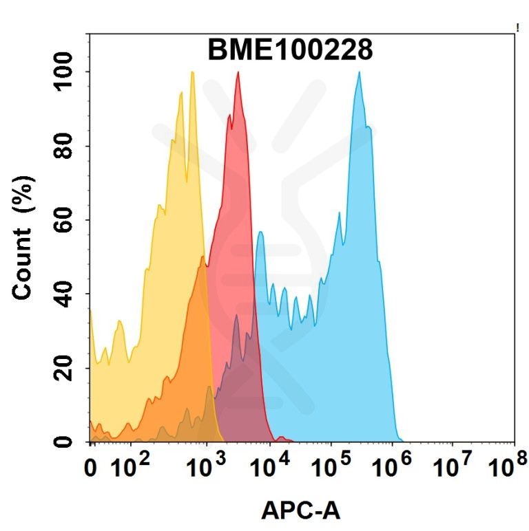 Anti-ACVR2B(bimagrumab biosimilar) mAb - 专注肿瘤免疫