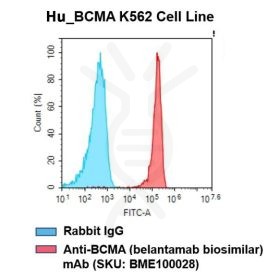 Hu_BCMA K562 Cell Line-人源BCMA K562稳转细胞株-适用于流式-缔码生物