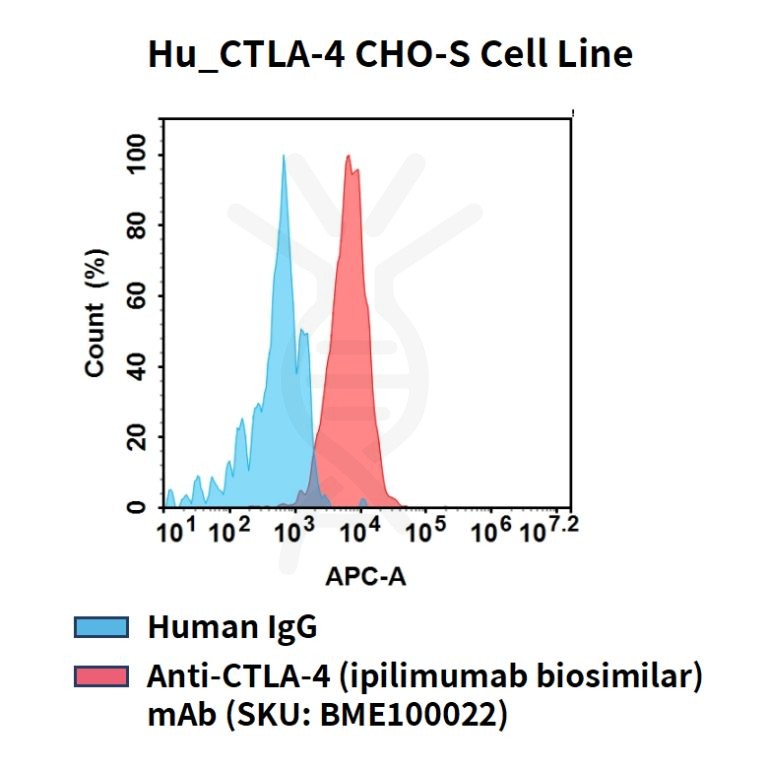Hu_CTLA-4 CHO-S Cell Line - 专注肿瘤免疫