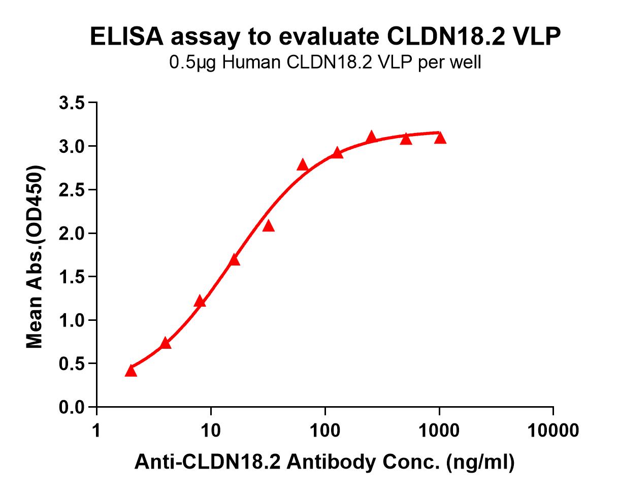 Human CLDN18.2 full length protein-VLP - 专注肿瘤免疫
