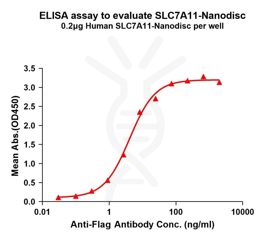 Human SLC7A11 full length protein-synthetic nanodisc - 专注肿瘤免疫