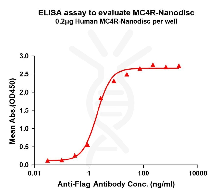 Human MC4R full length protein-synthetic nanodisc-全长MC4R 膜蛋白-缔码生物