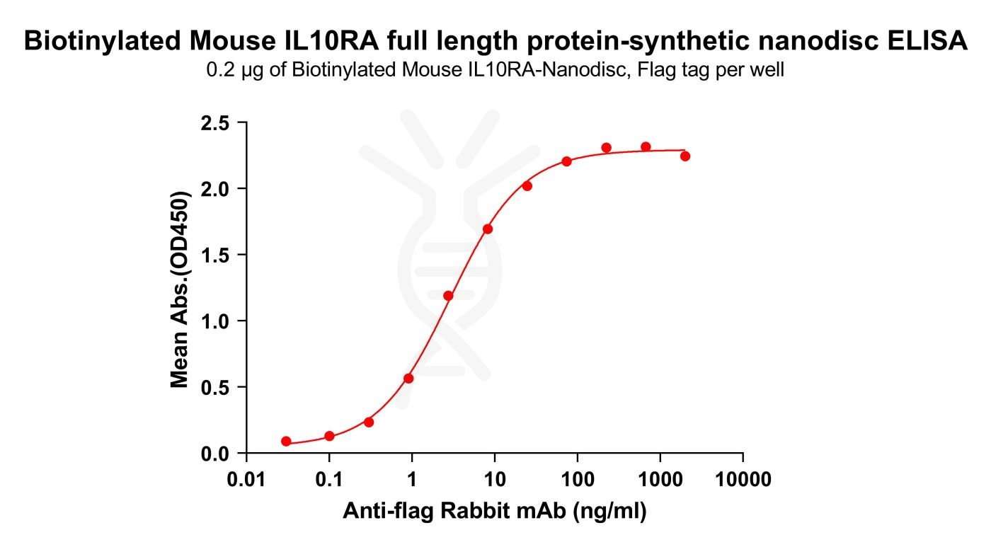 Biotinylated Mouse IL10RA full length protein-synthetic nanodisc-全长 ...