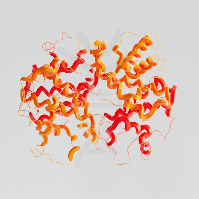 Human ITGAM Protein, hFc Tag - 专注肿瘤免疫