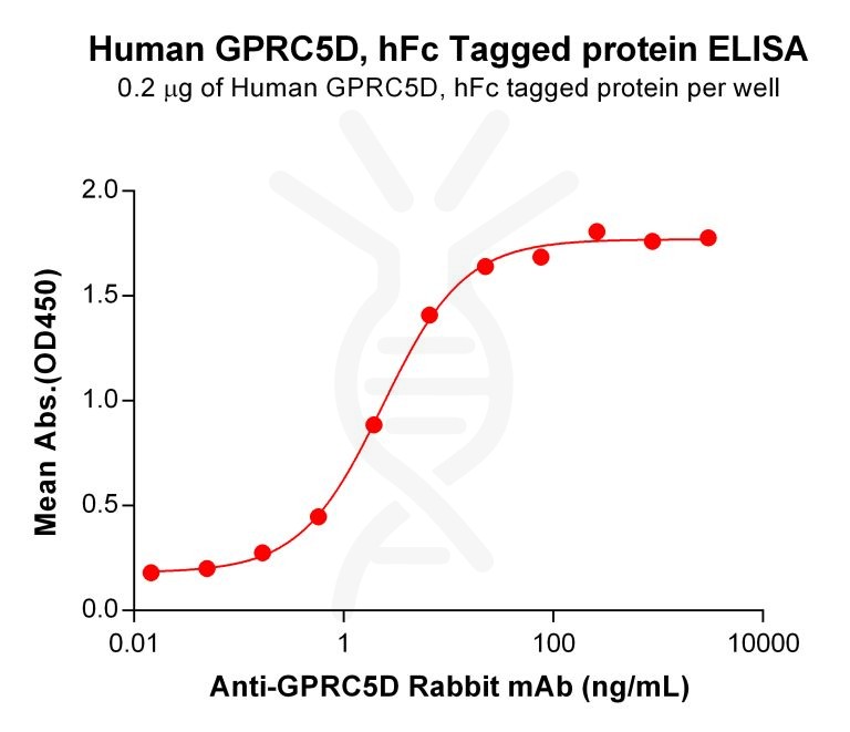 Human GPRC5D Protein, hFc Tag - 专注肿瘤免疫