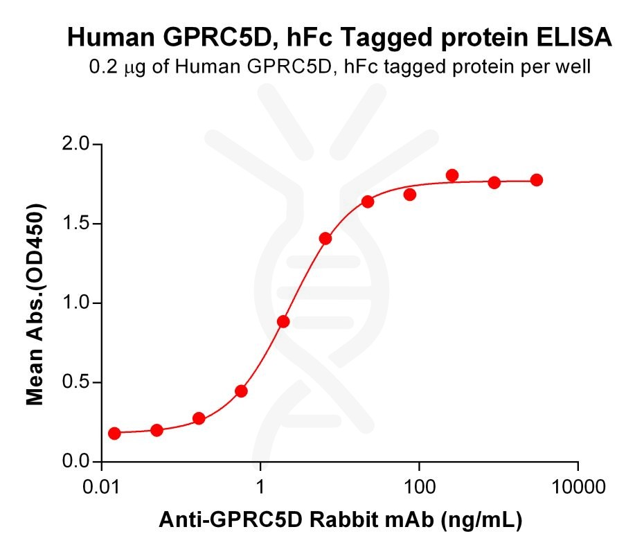 Human GPRC5D Protein, hFc Tag-GPRC5D重组蛋白（C-Human Fc Tag）-缔码生物