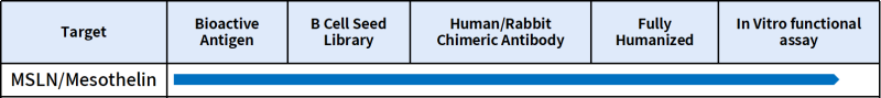Mesothelin/MSLN靶点介绍及药物研究进展-缔码生物