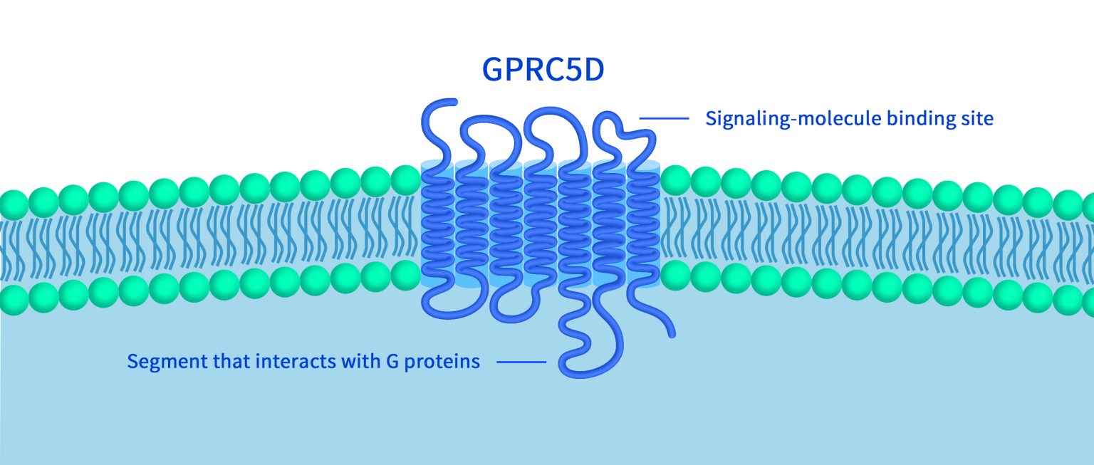 2023 ASH|盘点GPRC5D靶点生物药临床研究进展 - 专注肿瘤免疫